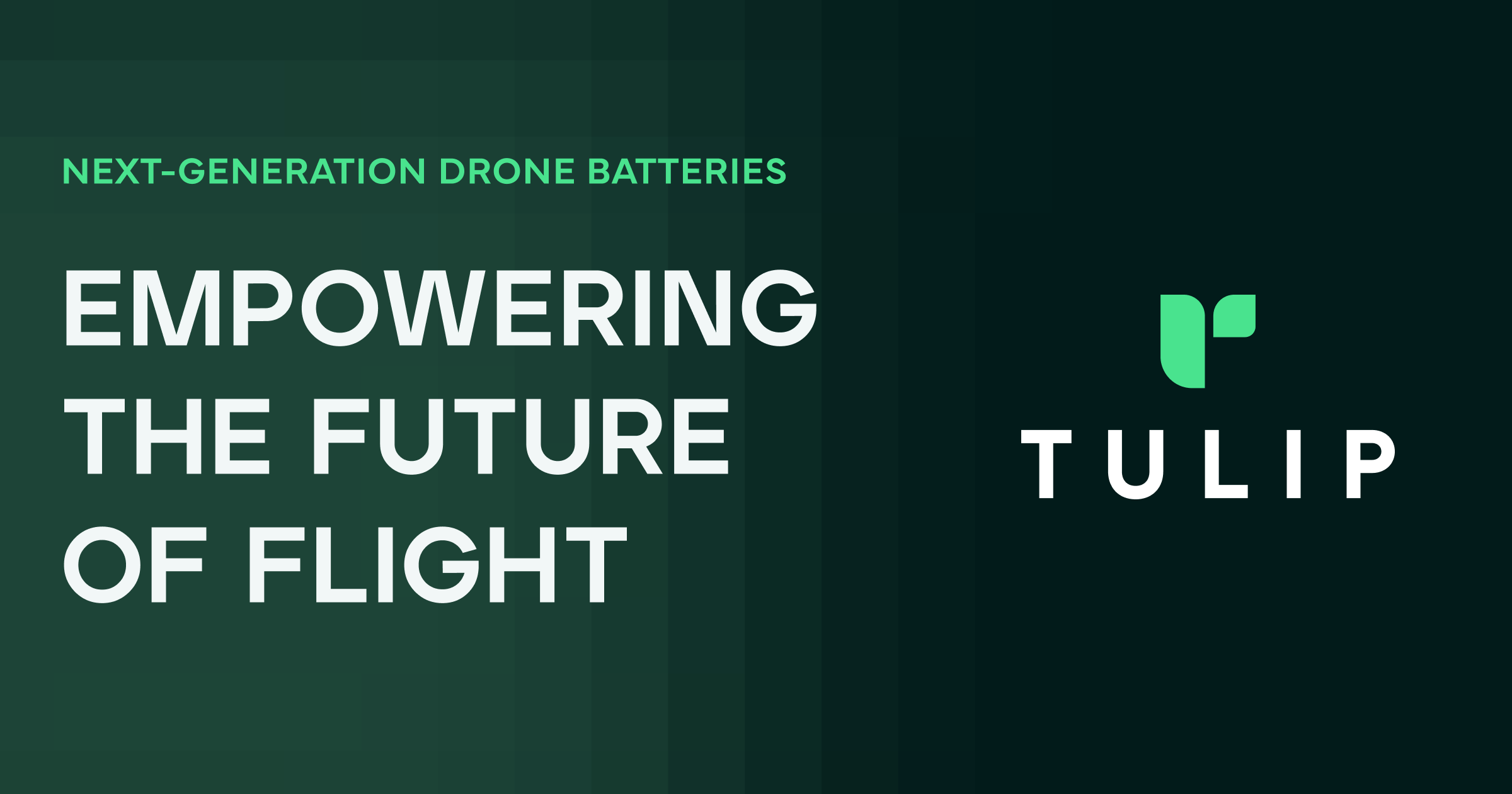 Tulip Tech | Business Controller